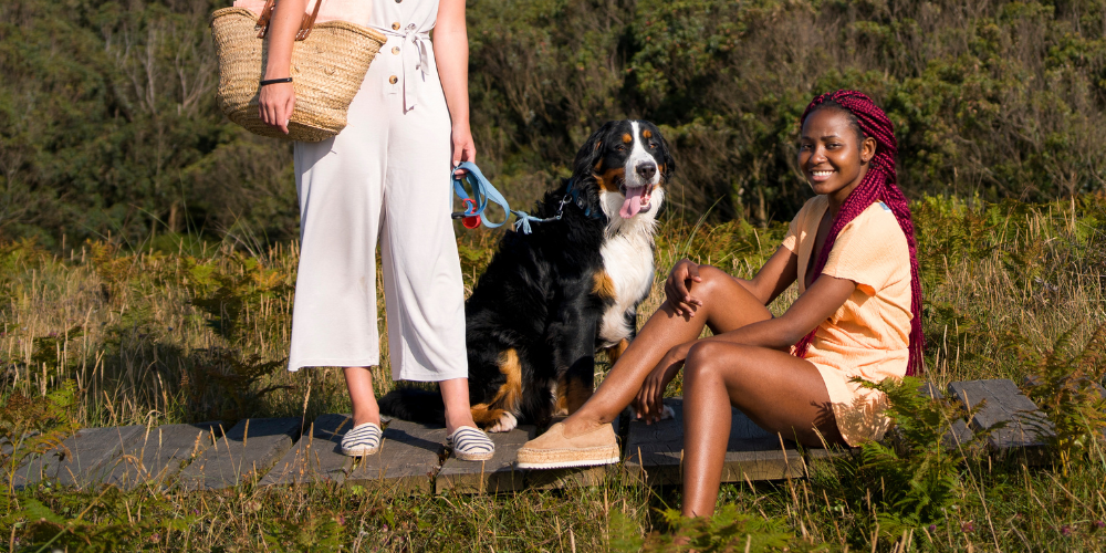 Safeguarding Pets from Australian Wildlife | PetScripts.com.au