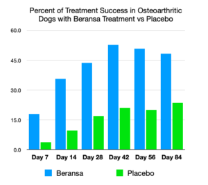 Beransa for Canine Arthritis: A Breakthrough Treatment | PetScripts ...
